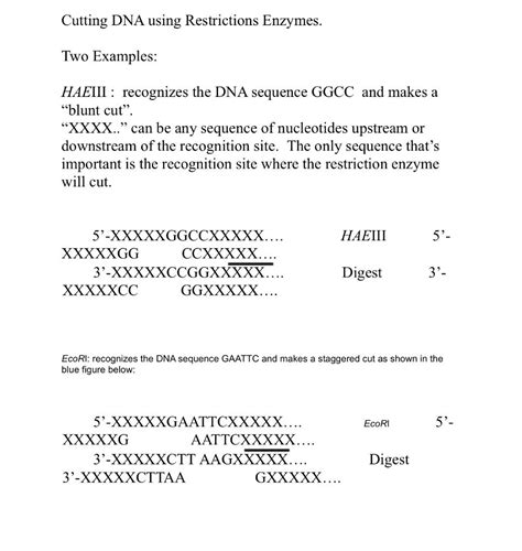 Solved Cutting Dna Using Restrictions Enzymes Two Examples