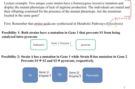 Lecture 3 Complementation Flashcards Quizlet