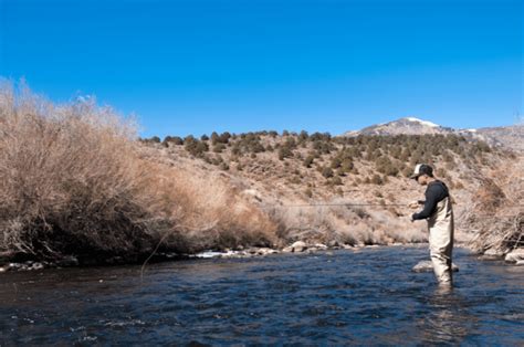 How To Nymph Fish A Complete Beginner S Guide