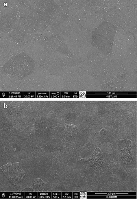 A Sem Micrograph Showing The Austenite Structure Of Sample A B Sem Download Scientific Diagram