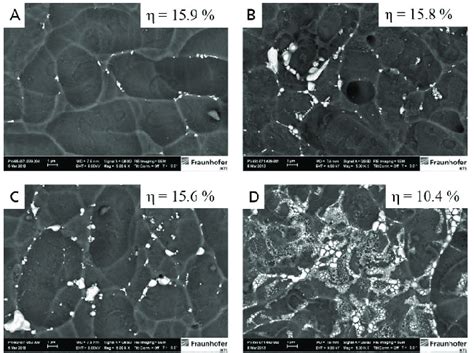 Selective Etch Back Pictures For The Four Inorganic Additive Download Scientific Diagram