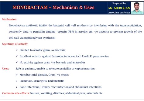 Mc Iii Unit 1 Part 6 Monobactampdf