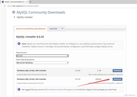【小白专用 已验证24 6 12】mysql 8 0的安装配置教程（详细） mysql安装教程8 2 csdn博客