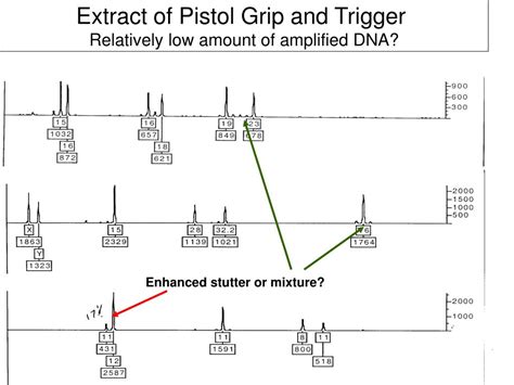 Ppt Advanced Topics In Str Dna Analysis Powerpoint Presentation Free