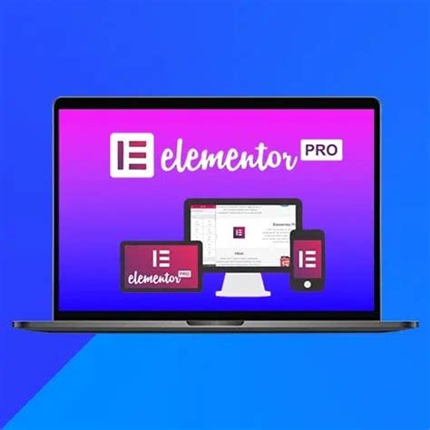 Elementor Pro Plugin License Key Activation Auto Update