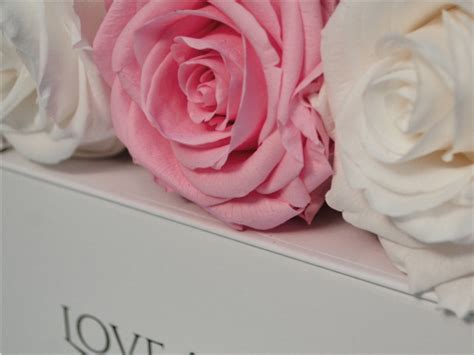 Rose Colour Meaning Guide Chart For Download Loverose