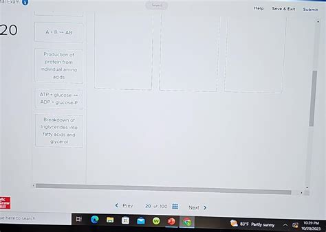 Solved Categorize Each Example Indicating The Type Of