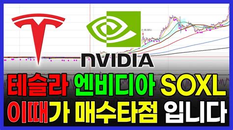 테슬라 엔비디아 Soxl 이때가 매수 타점 입니다 Youtube