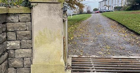 Imgur The Magic Of The Internet