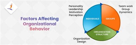 What Is Scope Of Organizational Behaviour