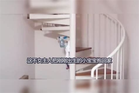 女主抱着刚出生的小宝宝回家，小猫怕生，一点点接近，太可爱了小猫小宝宝