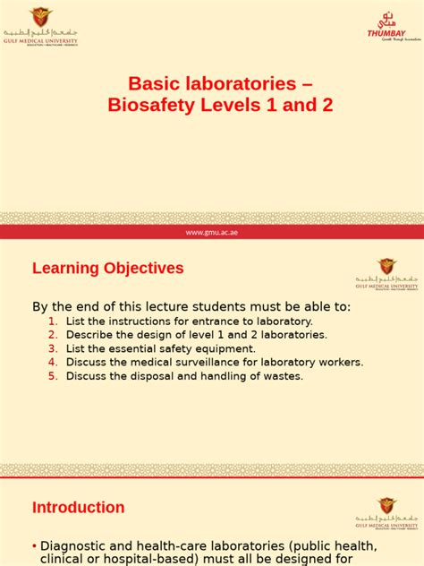 Lec 3 Basic Laboratories Biosafety Levels 1 And 2 Pdf Laboratories Safety