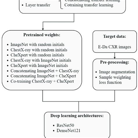 Flow Chart Of Our Deep Transfer Learning Approach For The Multilabel