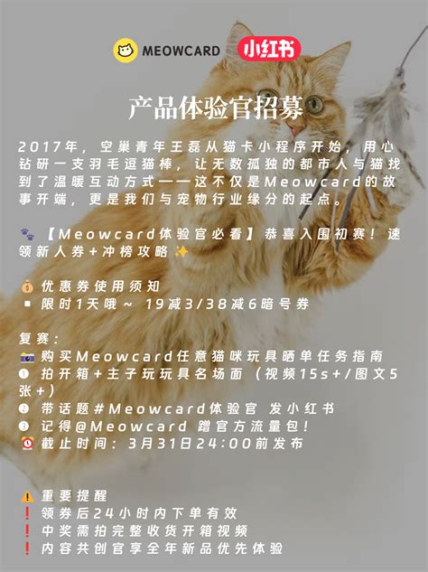 产品体验官招募 1741870043 Ai设计师