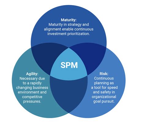 What Is Strategic Portfolio Management Spm