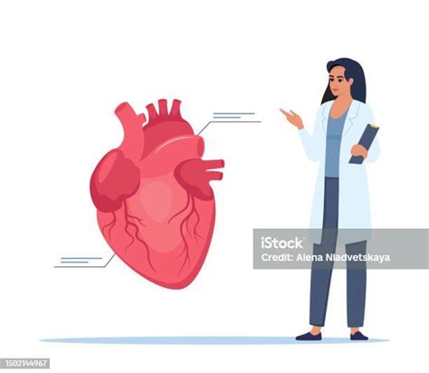 의사가 해부학에 대한 교육 강의를 합니다 인간의 심장 인포그래픽을 제시하는 의사 의료 세미나 강의 의료 회의 개념 벡터 그림입니다 건강관리와 의술에 대한 스톡 벡터 아트 및