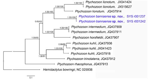 Bayesian Inference Tree Derived From Partial Dna Sequences Of The Download Scientific Diagram