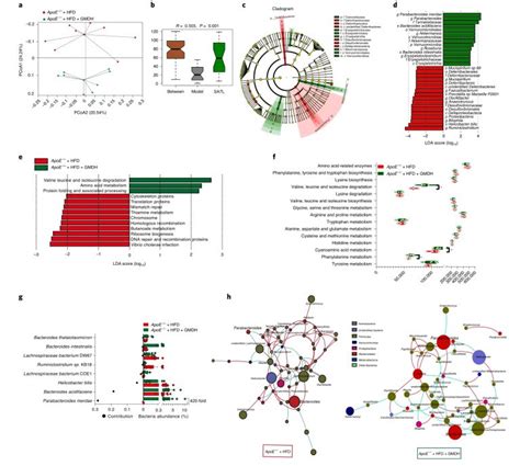 2 肿瘤细胞 氨基酸代谢 非靶向代谢 脂质 多组学代谢流检测分析 脂肪酸定量 肠道微生物菌群检测 麦特绘谱
