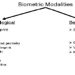 Biometric Modalities Download Scientific Diagram