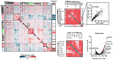 Clusters Of Co Regulated Proteins From The Global Correlation Map A Download Scientific