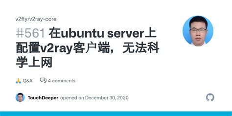 在ubuntu server上配置v ray客户端无法科学上网 v fly v ray core Discussion GitHub
