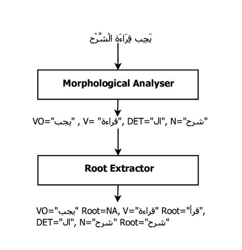 An Example Showing How The Morphological Analyser And Root Extractor
