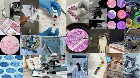 Aesthetic Biomedicina Computador в 2025 г