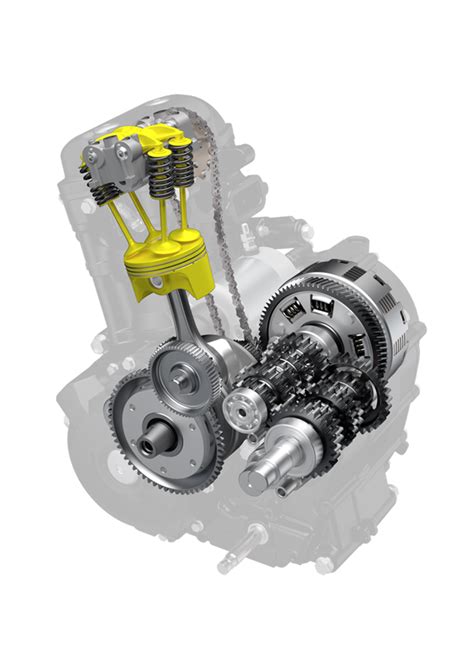 V Strom 250sx Vstrom 250sx Suzuki Motorcycles Australia