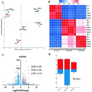 Comparative Transcriptome Analysis In Different Organs Under Excess Download Scientific Diagram