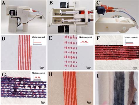 In Situ Printing Of Various Hydrogel Structures Using The Portable In