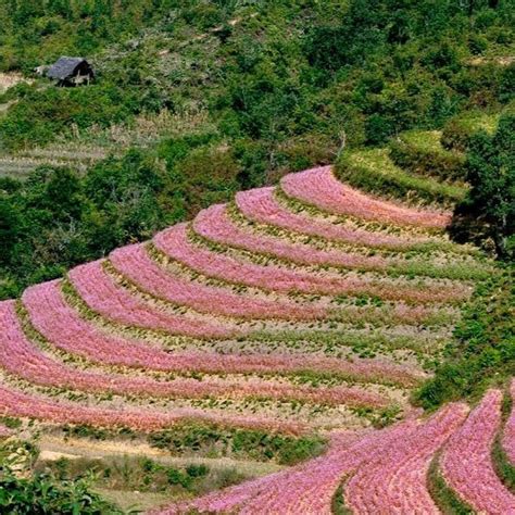 Exploring Vs Learning Youtube