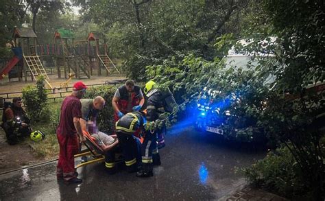 Врятували з пожежі двох людей і чотирьох котів на Київщині горіла квартира Вечірній Київ