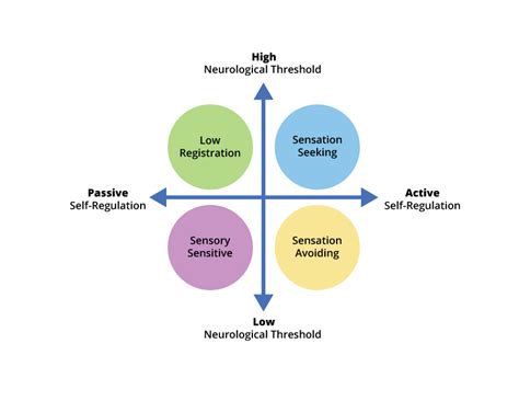 Sensory Threshold Khám Phá Ngưỡng Cảm Nhận Và Cách Sử Dụng Cụm Từ