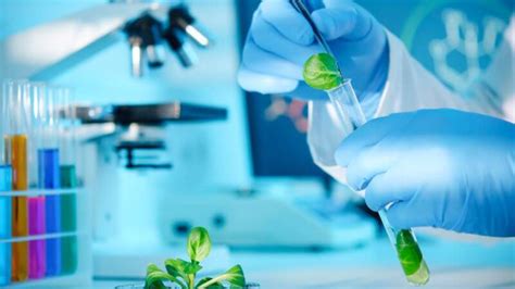 ¿cómo Se Relaciona La Ciencia Y La Tecnología