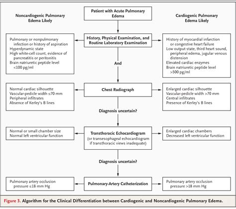 Cardiogenic Pulmonary Edema Pathophysiology