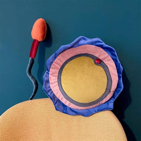 Sperm And Egg Cell Anatomical Plush Models Educational Plushies Biology Toy Sex Education Etsy