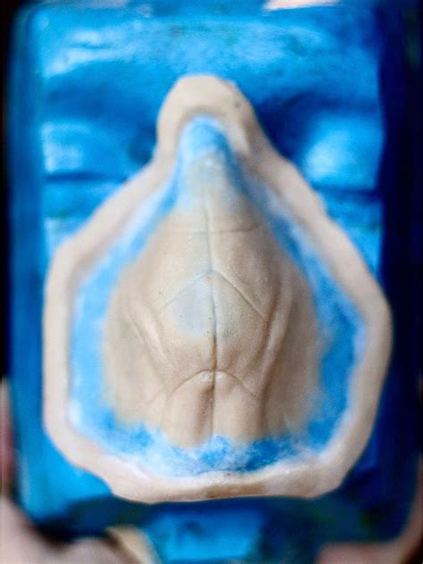 Snake Nose Prosthetic SFX Makeup Silicone Appliance Etsy