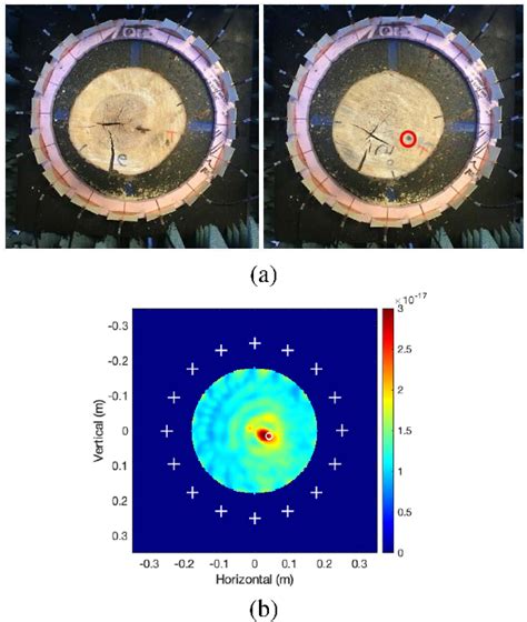Figure 1 From A Microwave Tomography System Using Time Reversal Imaging For Forestry