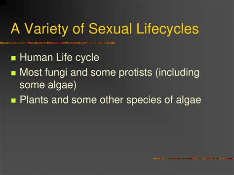 Meiosis Differs From Mitosis Ppt Download