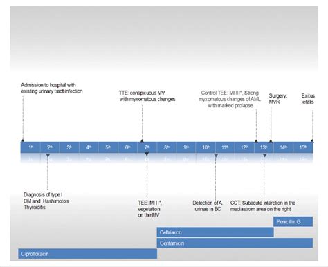 Figure 4 From Aerococcus Urinae Mitral Valve Endocarditis Related Stroke A Case Report And