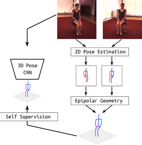 Epipolarpose Uses 2d Pose Estimation And Epipolar Geometry To Obtain 3d Download Scientific