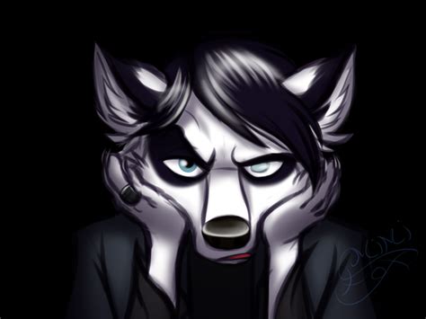 Furry Fox Furry Art Furry Mimi Fox