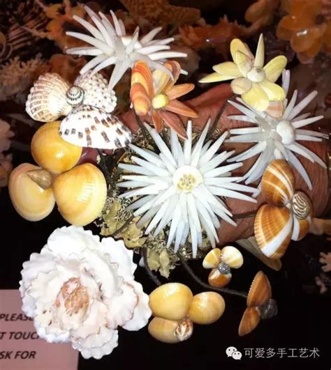 海邊撿回來的貝殼回家這樣用簡直美爆了 每日頭條