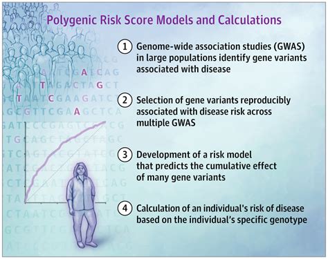 What Are Polygenic Scores And Why Are They Important Regenerative Medical Group