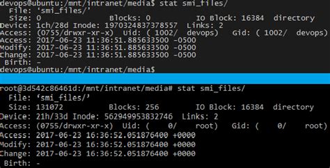 Docker Cant Access Django Media From Container Volume Stack Overflow