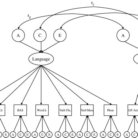 Path Diagram For Multivariate Common Pathways Model With Two