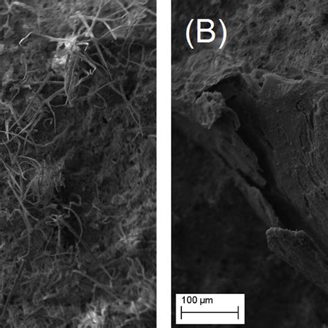 Dsc Spectrum Of Pet Download Scientific Diagram