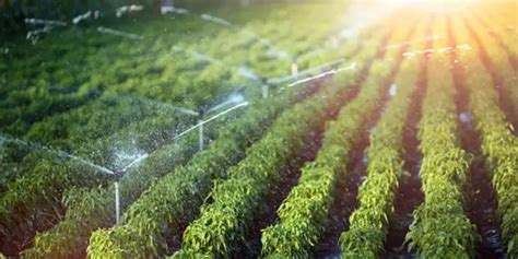 How To Select Ideal Farm Irrigation Systems