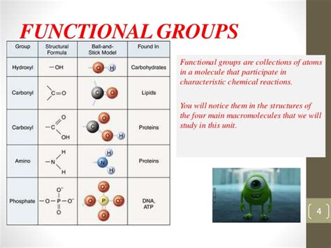Functional Groups Proteins