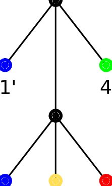 A connected graph G σ and the corresponding least resolved tree T Download Scientific